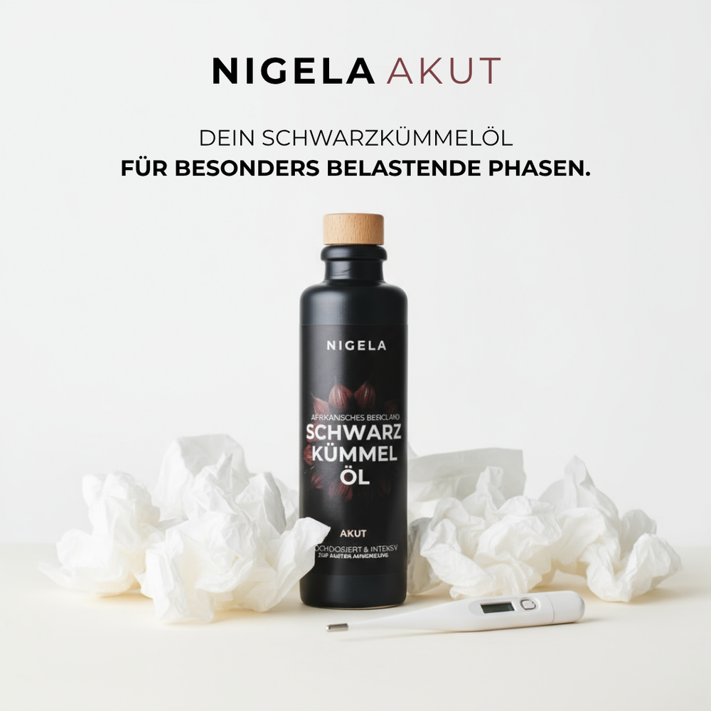 Hochdosiertes Schwarzkümmelöl AKUT 200ml - nigela